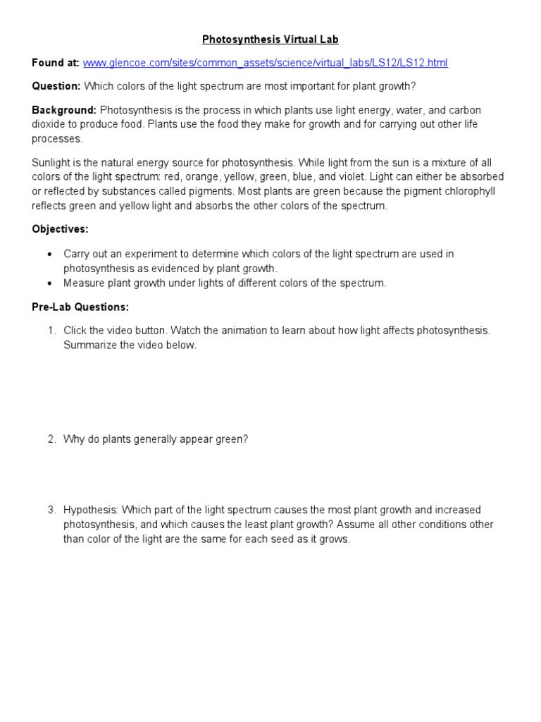 Photosynthesis Virtual Lab | PDF | Photosynthesis | Color