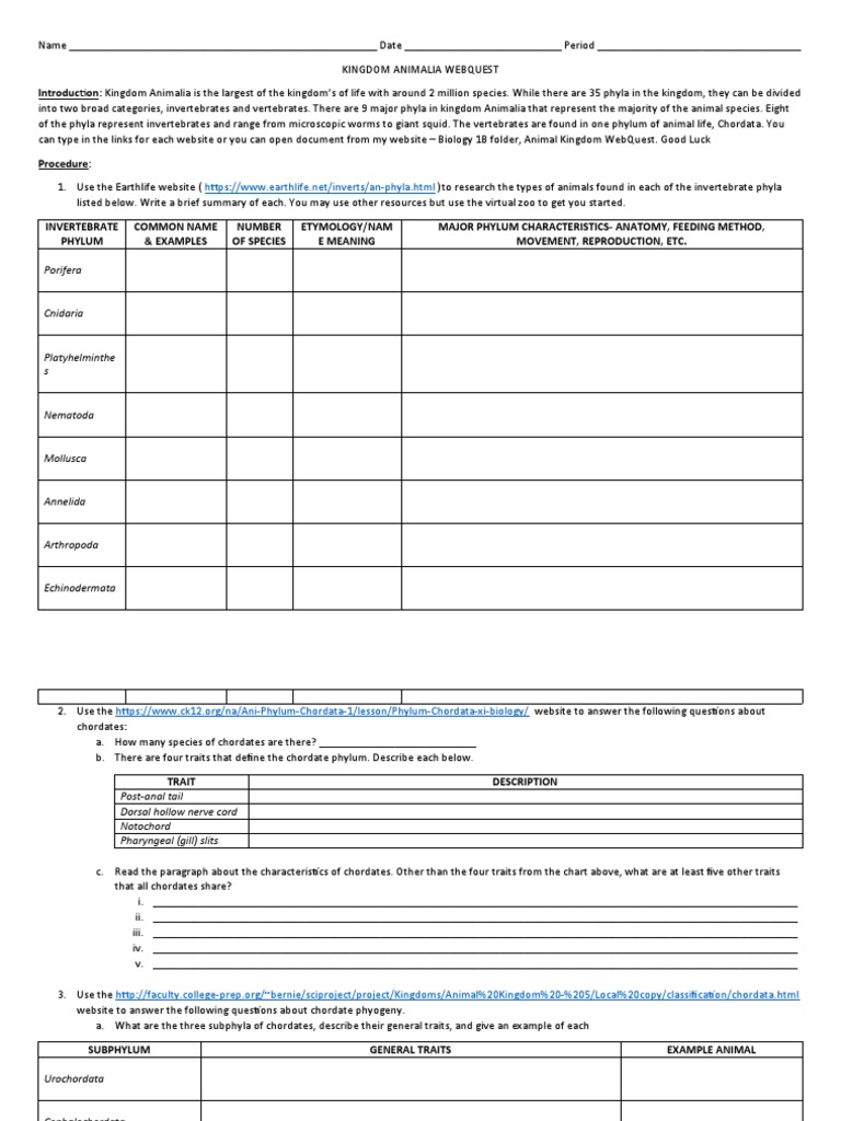 Kingdom Animalia Webquest | PDF | Invertebrate | Vertebrates