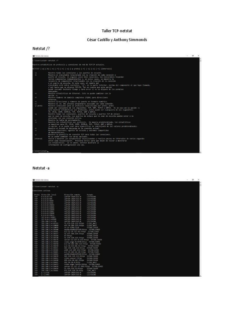 Taller Netstat | PDF