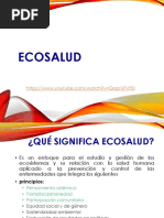 Ficha-Tecnica Rimon-100-Ec Adama 08 | PDF | Pesticida | Agua
