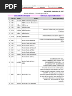 Manual de Sigesai | PDF