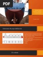 Estructura y Tipos de Popa en Buques | PDF | Timón | Popa