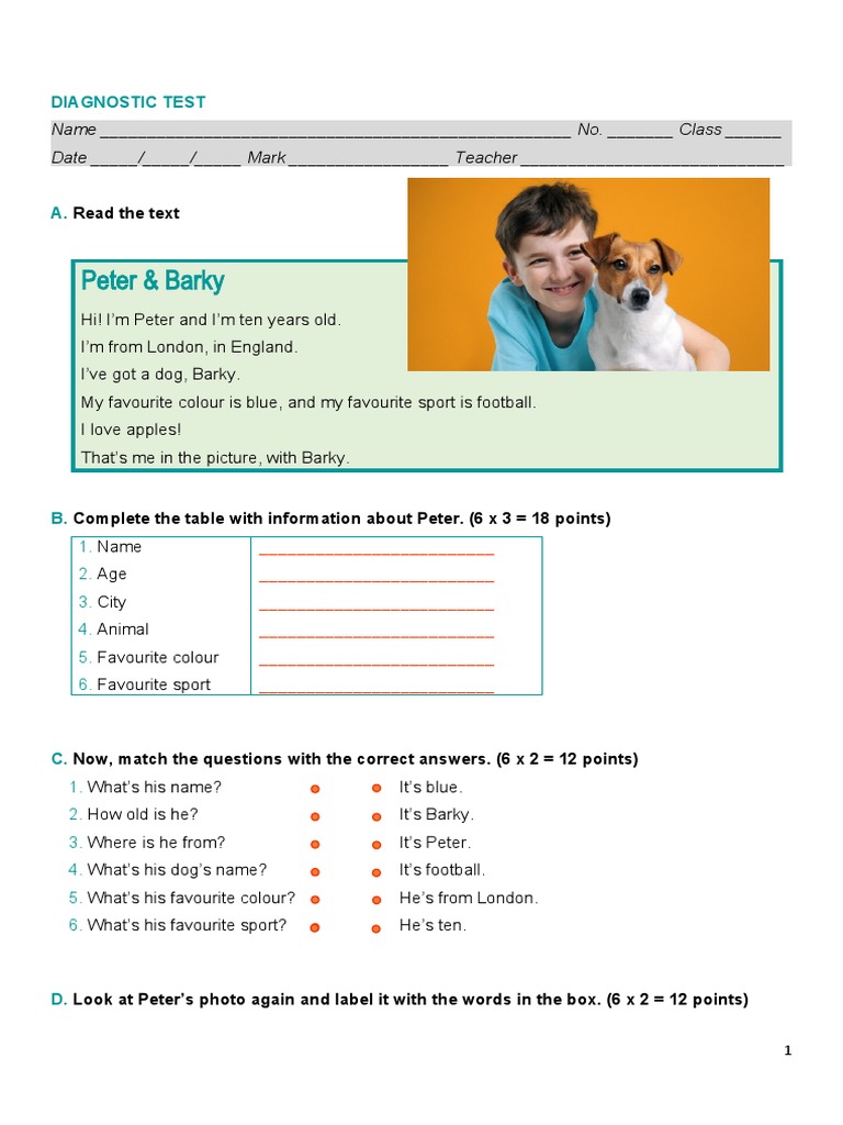 Diagnostic Test - Year 5 - 2020-2021 | PDF