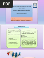 Prospecto NIFURYL | PDF | Infección del tracto urinario ...