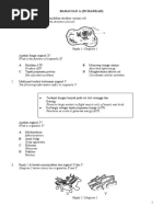 Form 4 Biology Exam Questions | PDF