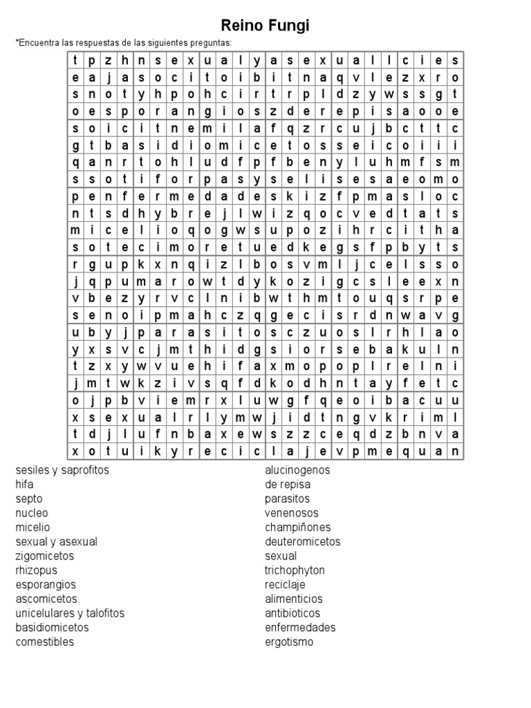 Introducción al Reino Fungi | PDF | Hongo | Micología