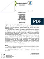 Fungi Observation in Bread and Fruit | PDF | Fungus | Staining