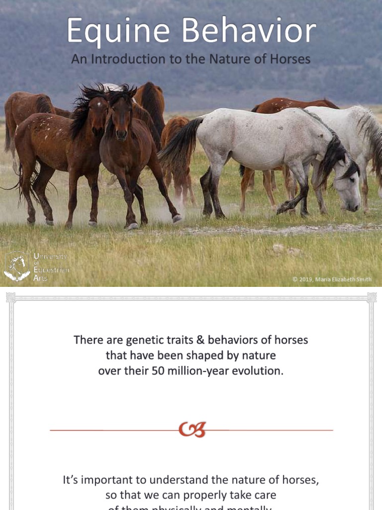 An Introduction To The Nature of Horses: © 2019, Maria Elizabeth Smith ...