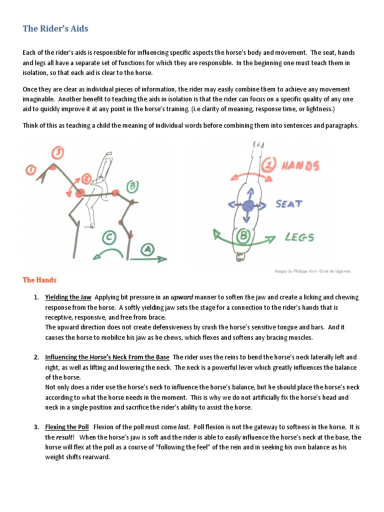 The Rider's Aids | Download Free PDF | Equestrianism | Horses