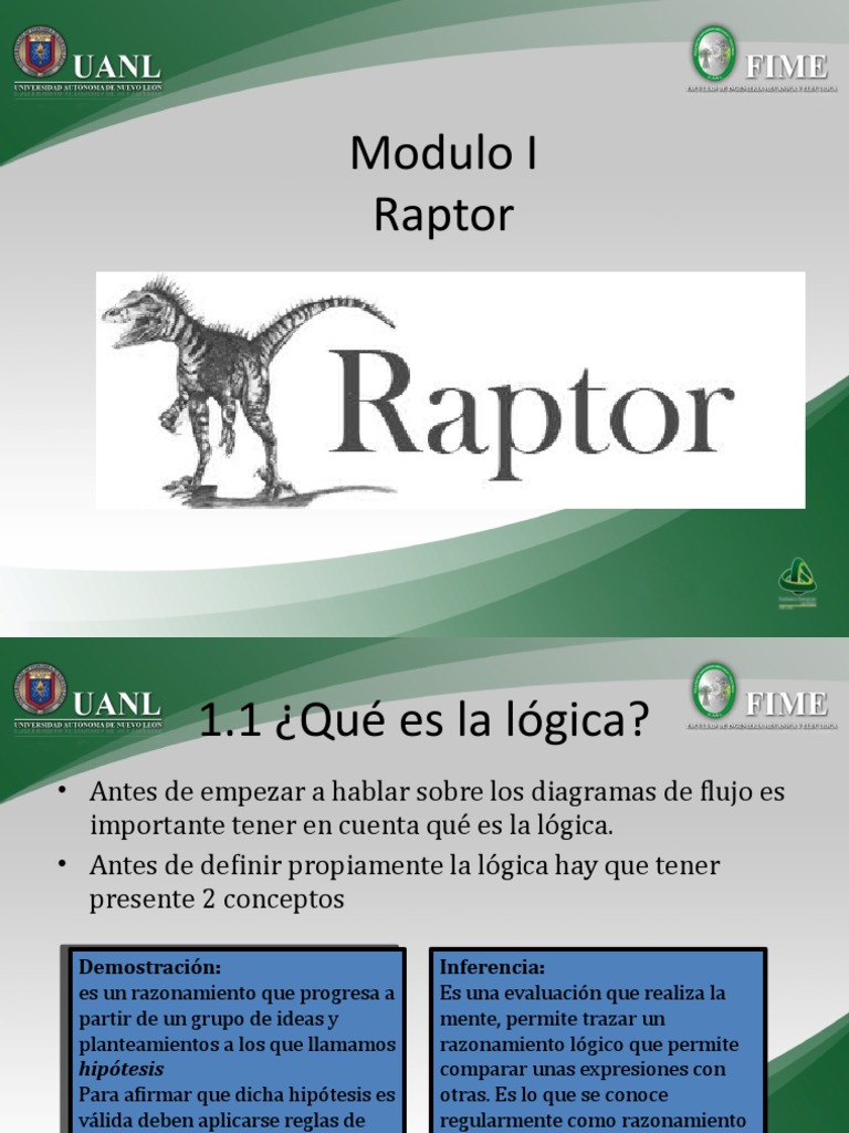 Raptor 2 | PDF | Algoritmos | Inferencia