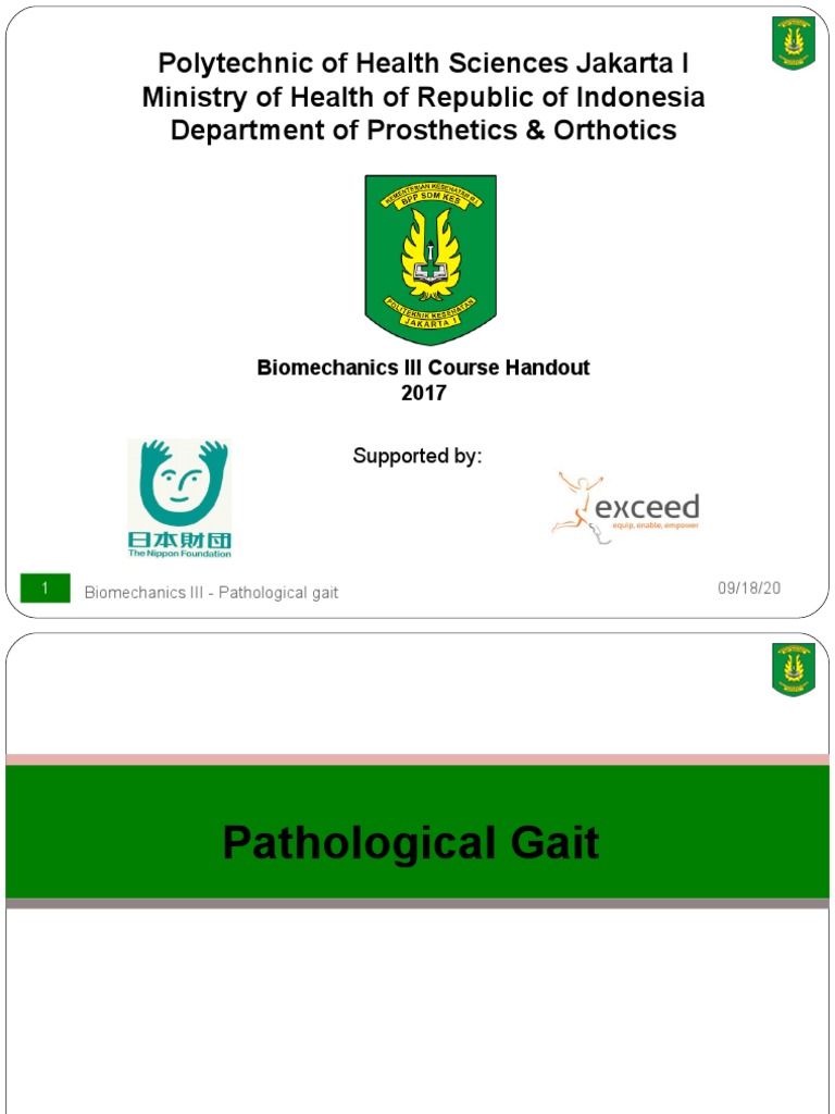 Analysis of Pathological Gait Patterns and Characteristics in ...