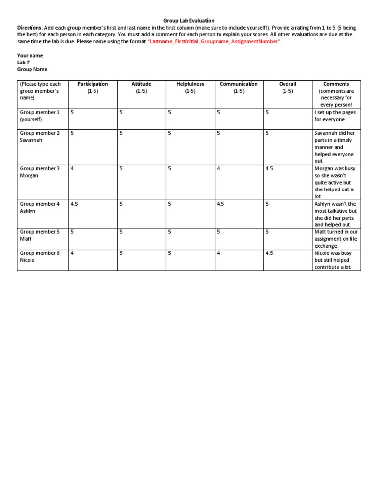 Group Lab Evaluation Template | PDF | Communication | Business