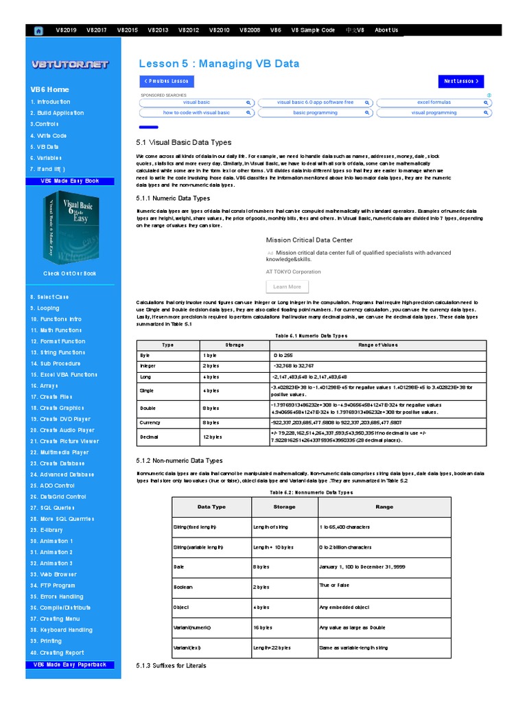 Visual Basic Programming Basics | PDF | String (Computer Science) | Data Type