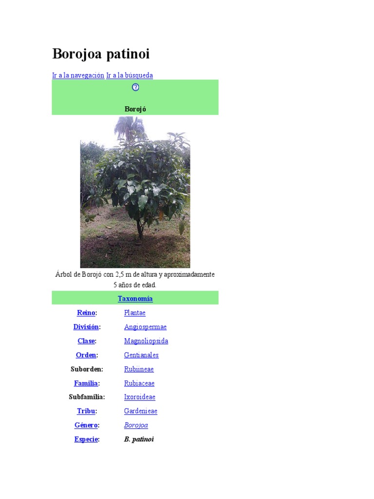 El árbol del borojó (Borojoa patinoi): descripción, usos y ...