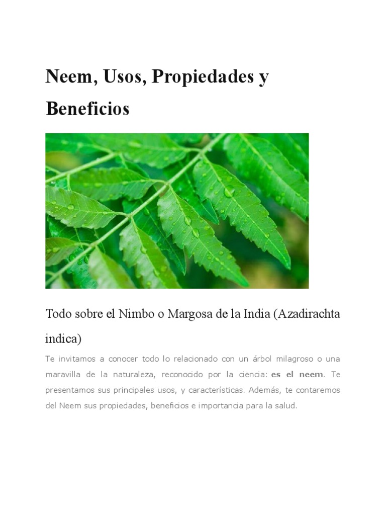 Neem Usos Propiedades y Beneficios | PDF | Medicina | Bienestar