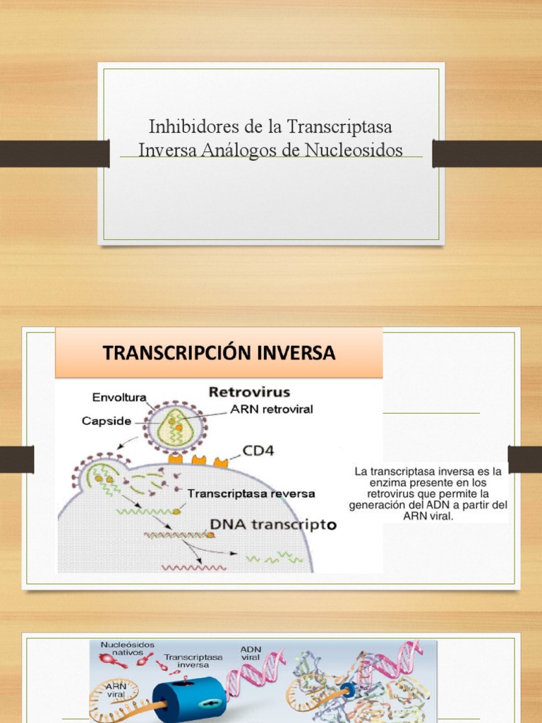 Inhibidores de La Transcriptasa Inversa Análogos de Nucleosidos | PDF ...