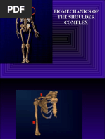 Derby Shoulder Instability Rehabilitation Programme v2.0 | PDF ...