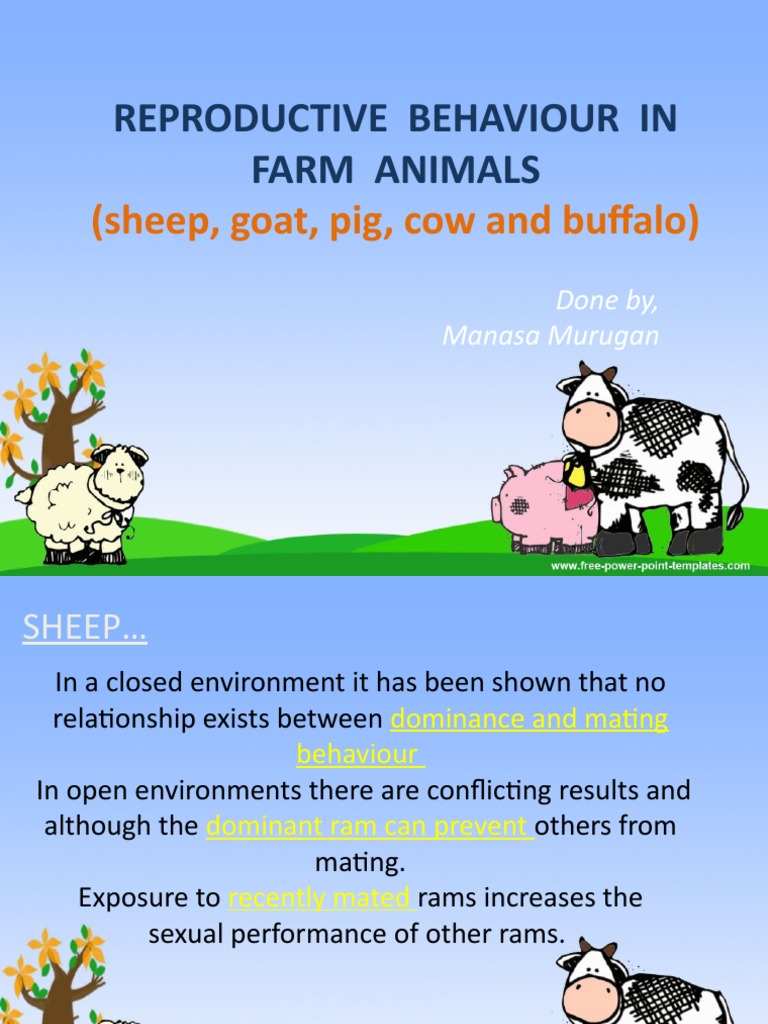 Farm Animals - Pheromone Tech. | PDF | Sheep | Cattle