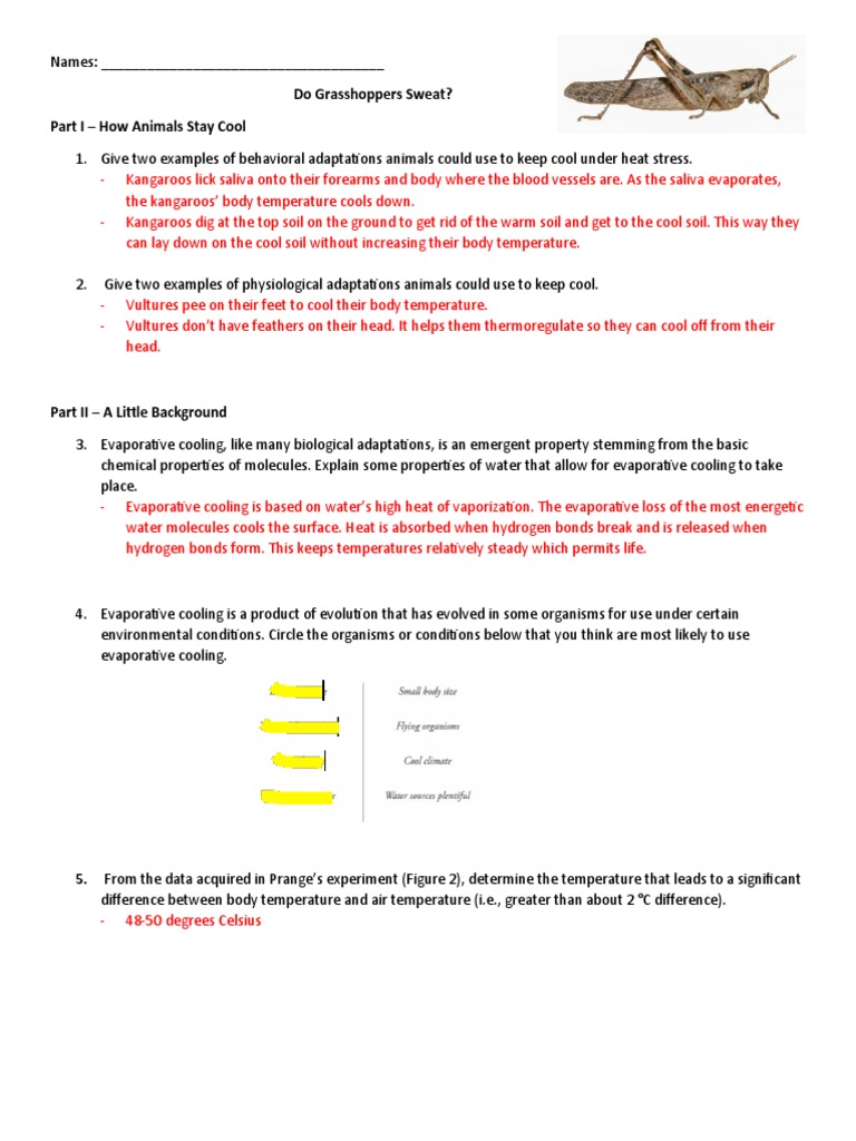 Grasshoppers Case Study | Download Free PDF | Evaporation ...
