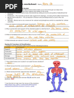 Skeletal System-Lecture Notes | PDF | Osteoblast | Bone