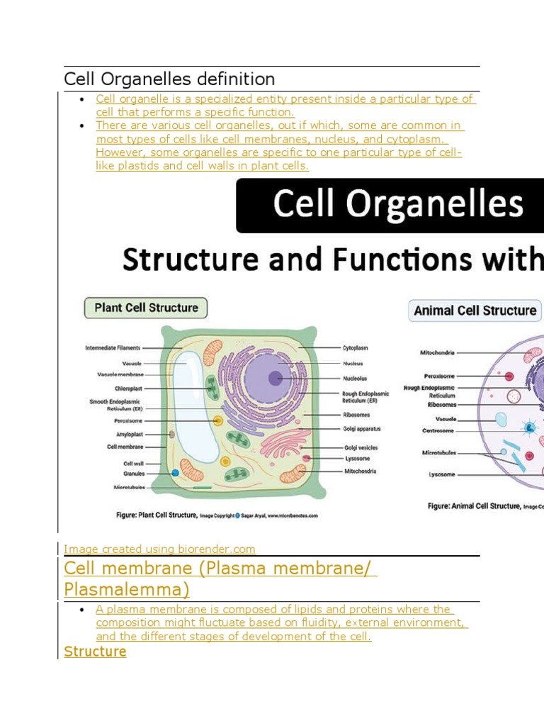 Cell Organelles Definition | PDF | Endoplasmic Reticulum | Cell Nucleus
