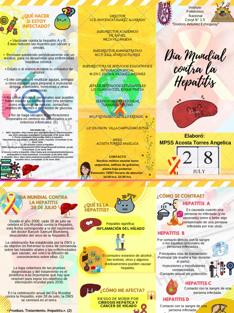 Tríptico Hepatitis | PDF | Hepatitis | Hepatitis B
