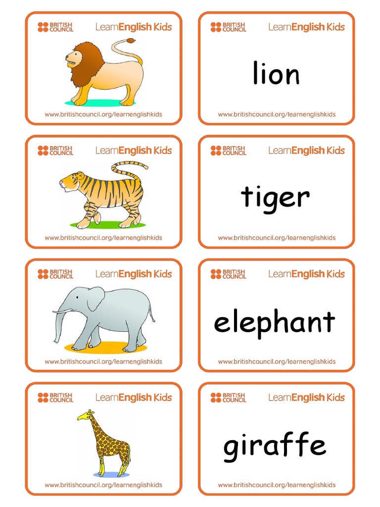 Flashcards Wild Animals Set 1 PDF | PDF
