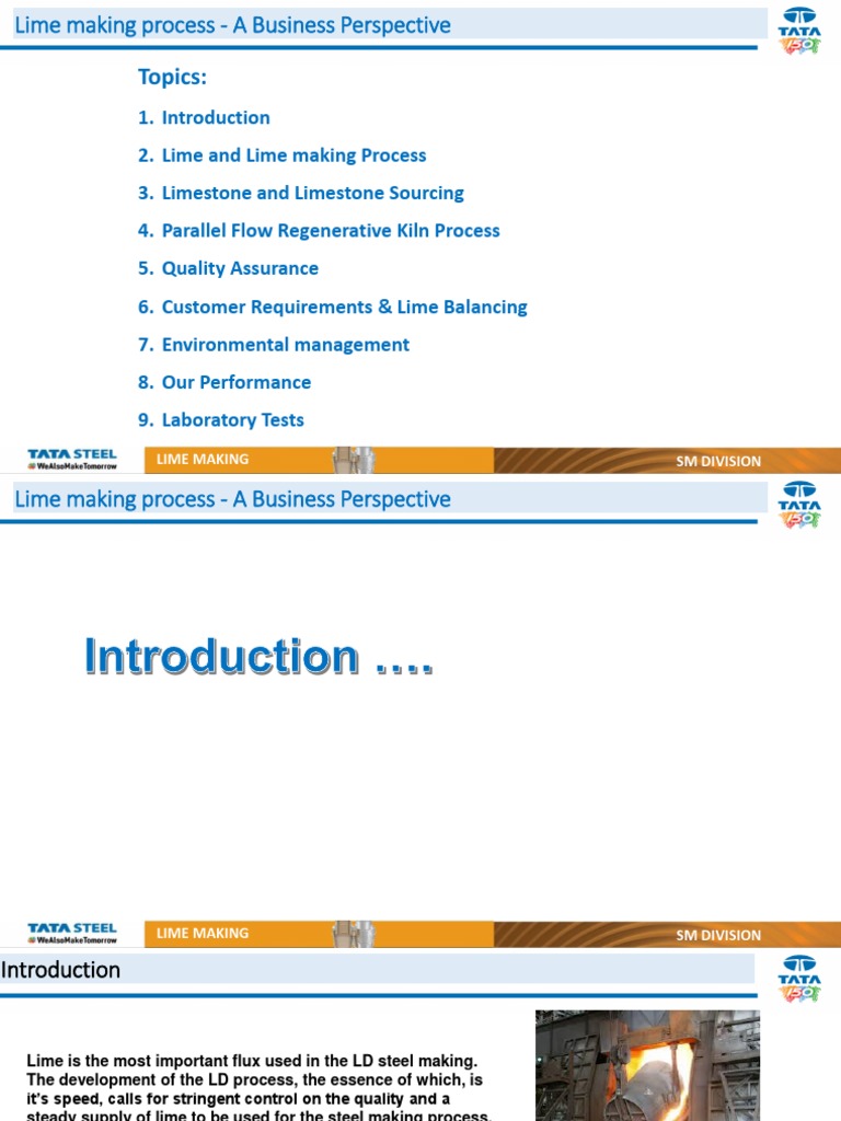 Lime Making Process Overview and Insights | PDF | Combustion | Carbon ...