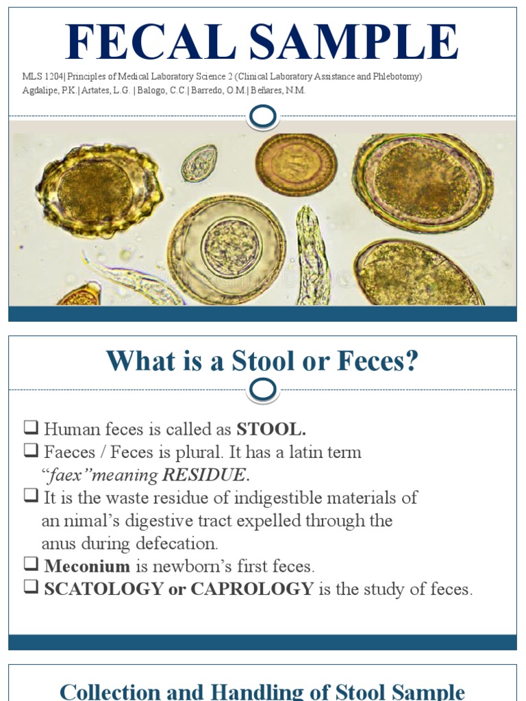 FECAL ANALYSIS Final | PDF