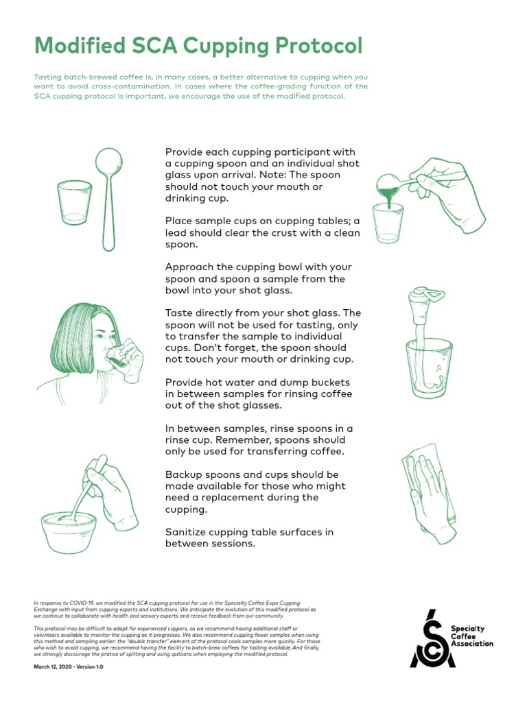 Modified SCA Cupping Protocol 2020 Release v1 | PDF | Beverages | Nature