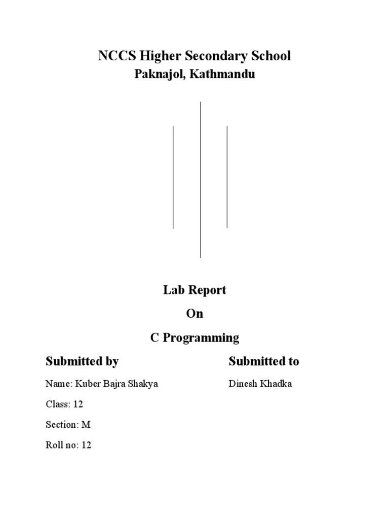 C Programming Lab Report | PDF