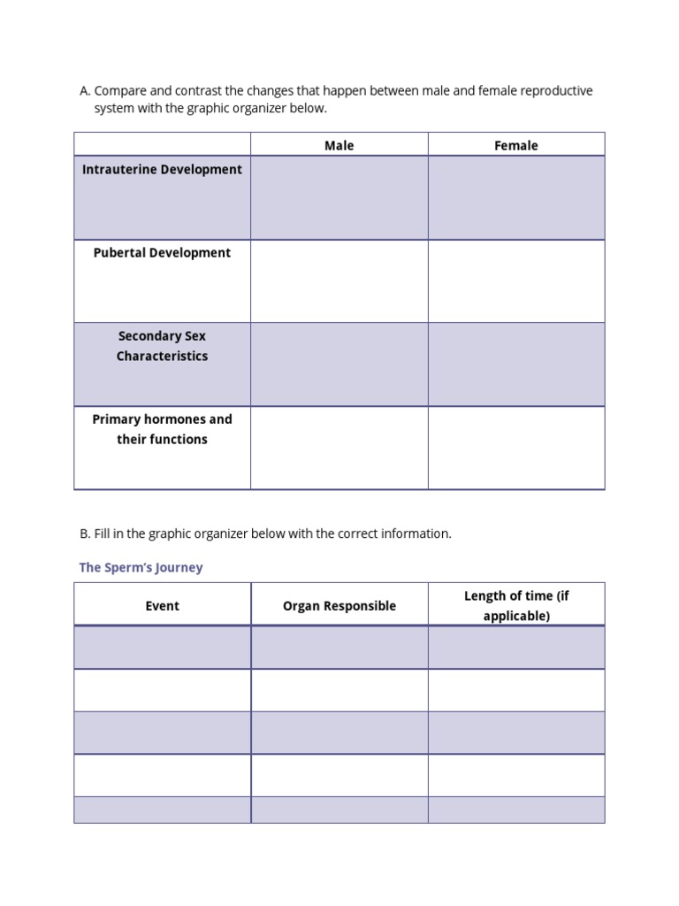 Male vs Female Reproductive Changes | PDF | Self-Improvement