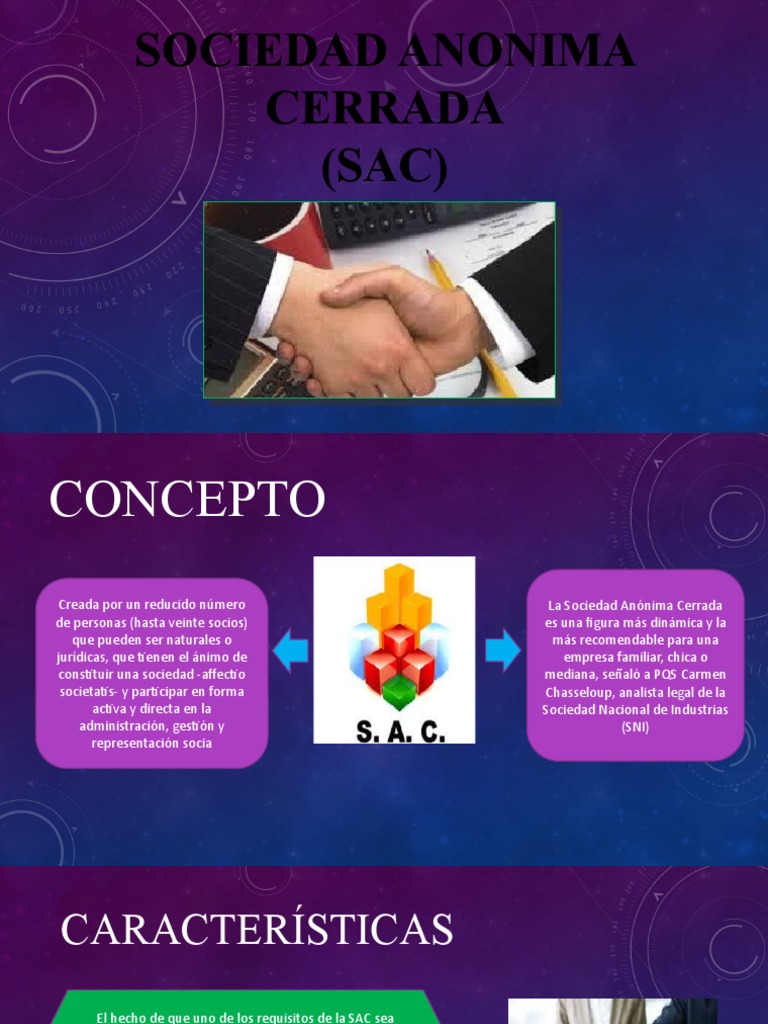 Sociedad Anonima Cerrada | PDF | Economias | Business