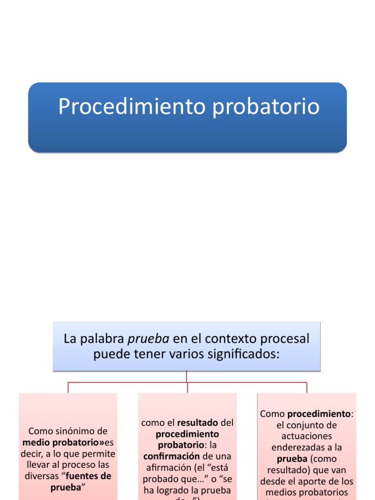 Procedimiento Probatorio 2019 | PDF | Evidencia (ley) | Demanda judicial