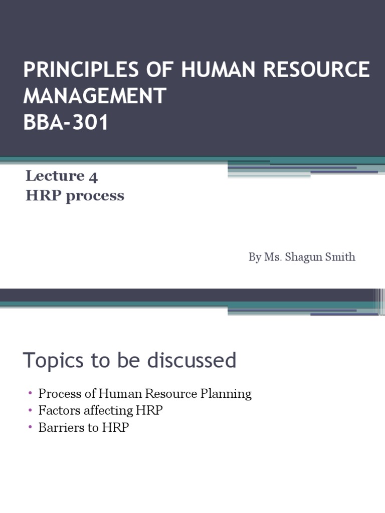 Human Resource Planning Process Guide | PDF
