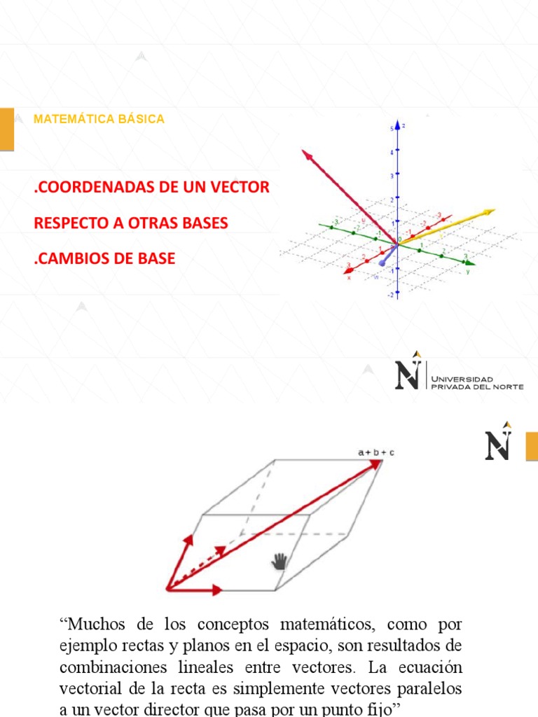 Coordenadas y Cambio de Base en Vectores | PDF | Ciencia y matemáticas