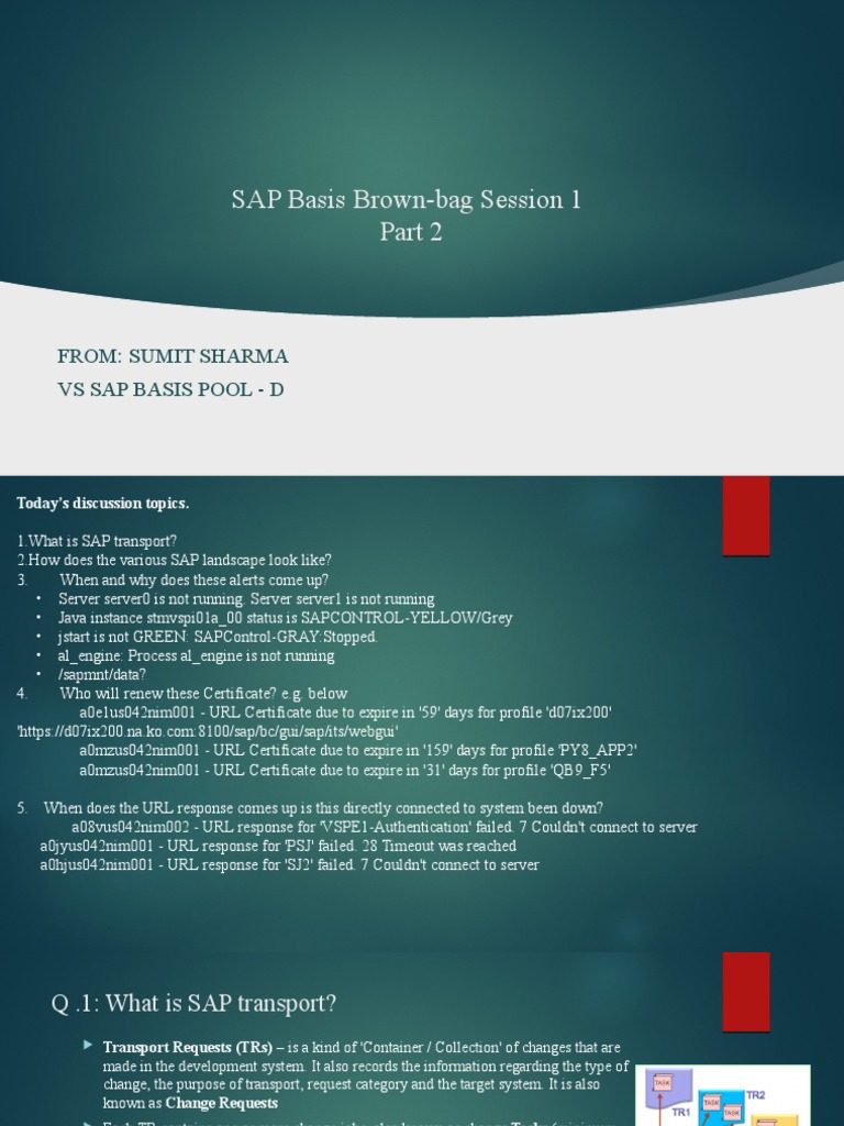 SAP Basis Brown-Bag Session Part - B | PDF | Server (Computing) | Information Technology Management