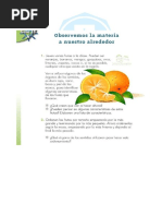 EXPERIMENTO TINTA INVISIBLE CON CURCUMA_20250203_094212_0000 | PDF ...