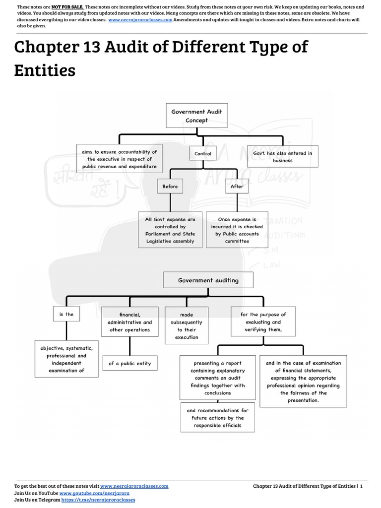 01 Audit of Different Types of Entities | PDF | Audit | Public Sphere