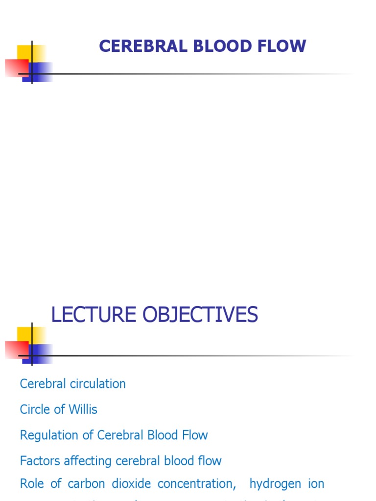 Cerebral Blood Flow Regulation Overview | PDF | Hemodynamics ...