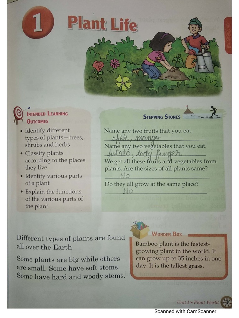 EVS CLASS 2 Ch1 | PDF