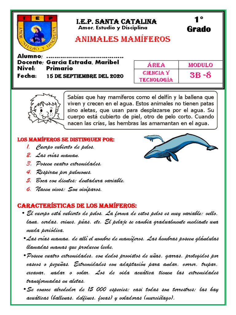 Características de los Mamíferos | PDF | Mamíferos | Murciélago