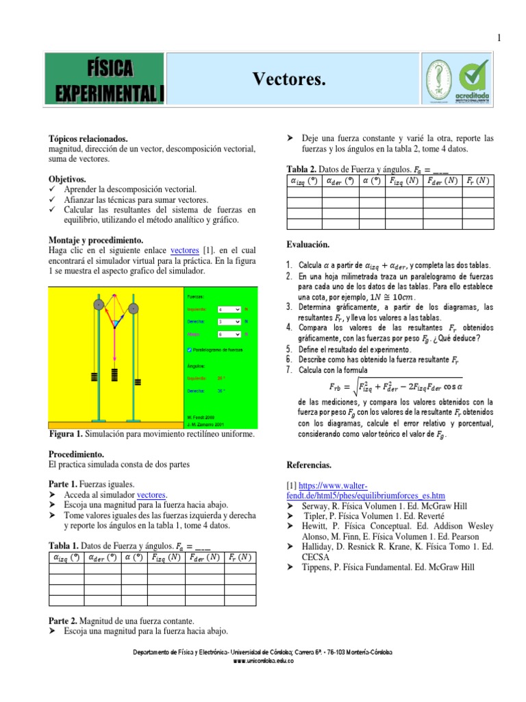 Vectores | PDF | Vector Euclidiano | Fuerza