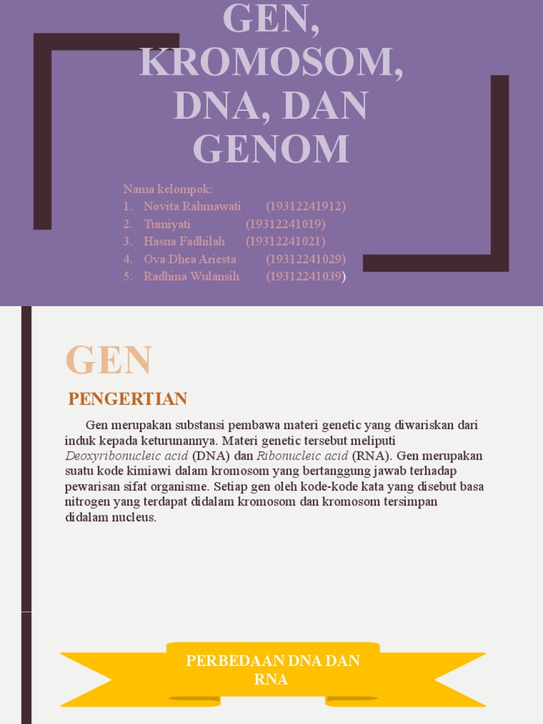 Perbedaan Gen, Kromosom, dan DNA | PDF