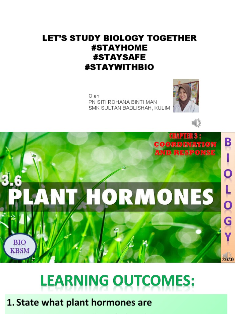 Chapter 3 Coordination and Response Part 4 | PDF | Plant Hormone | Auxin