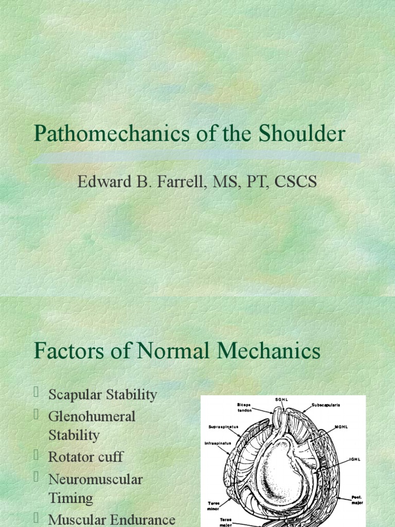Pathomechanics of The Shoulder: Edward B. Farrell, MS, PT, CSCS | PDF ...