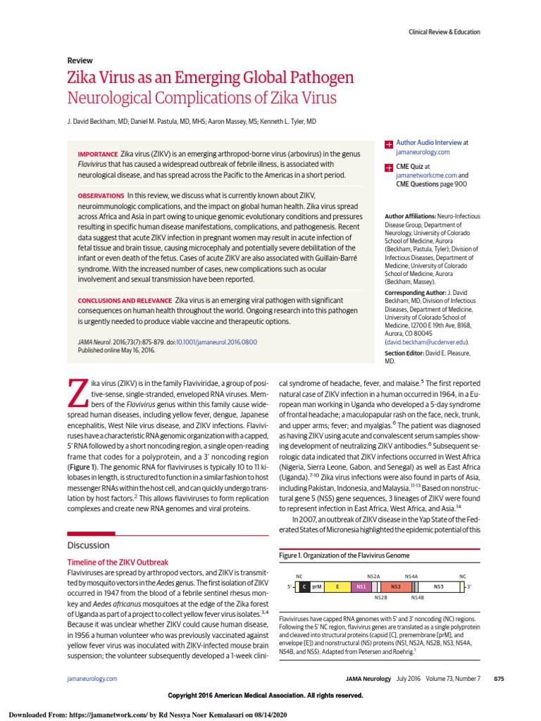 Zika Virusesss | PDF | Zika Virus | Zika Fever