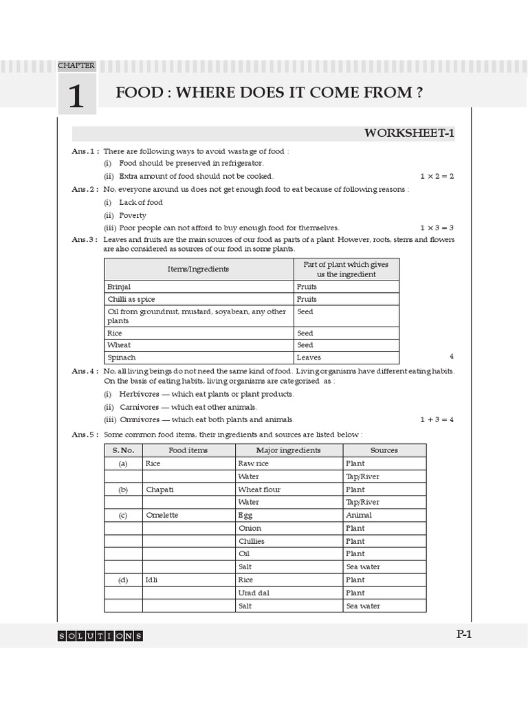Food Where Does It Come From Worksheet 1 PDF Yarn Spinning