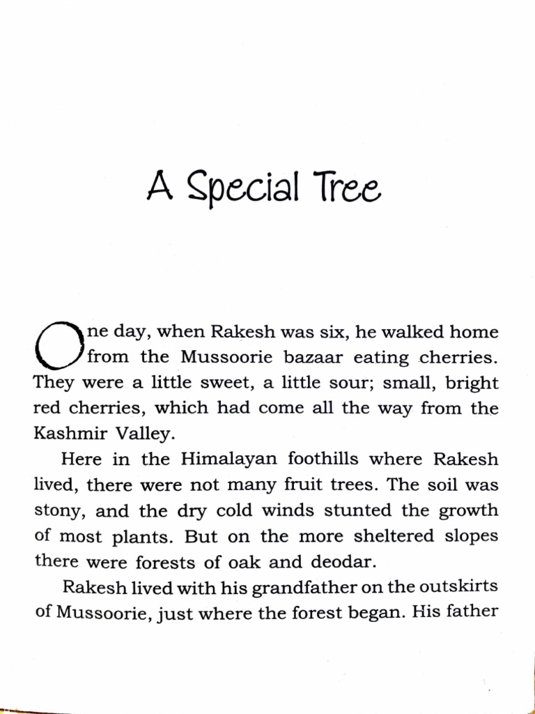 A Special Tree | PDF | Trees | Plants