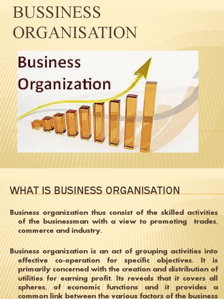 Understanding Business Organization Concepts | PDF | Policy | Business